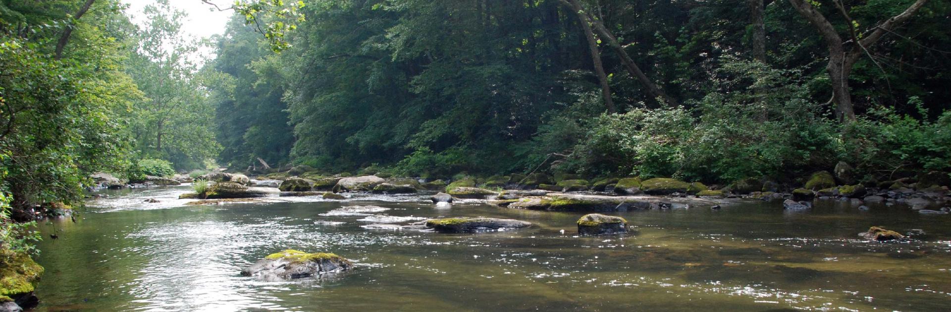 Watershed Moments at Appalachian Laboratory: Celebrating 6 Decades of ...