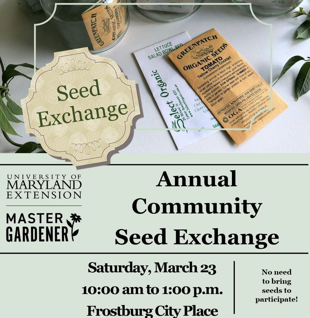 2024 Annual Community Seed Exchange | Downtown Frostburg